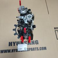 China Hyunsang Excavator Parts 9520A950G Injection Pump For Excavator Parts for sale