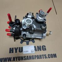 China Hyunsang Excavator Parts 9520A950G Injection Pump For Excavator Parts for sale