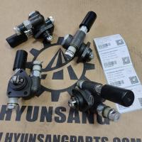 China Hyunsang Machinery Parts SIH2204136 Fuel Pump for sale