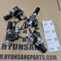 China Hyunsang Machinery Parts SIH2204136 Fuel Pump for sale