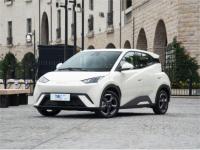 China BYD Seagull Pure Electric Hatchback 305 km Range 55 kW Motor 5-Seat Compact Urban Vehicle for sale