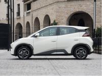 China BYD Seagull Pure Electric Hatchback 305 km Range 55 kW Motor 5-Seat Compact Urban Vehicle for sale