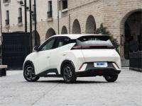 China BYD Seagull Pure Electric Hatchback 305 km Range 55 kW Motor 5-Seat Compact Urban Vehicle for sale