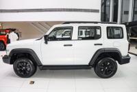 China Great Wall Tank 300 Gasoline 4WD Off-Road SUV with 1967ml Engine and 387N·m Torque for sale