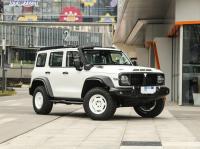 China Great Wall Tank 300 Gasoline 4WD Off-Road SUV with 1967ml Engine and 387N·m Torque for sale