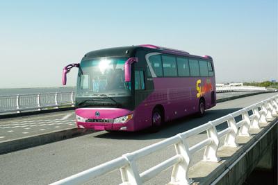 China Rose 24-52 Seater Coach Tour Bus with 10995mm Length and 100km/h Speed - Rear Drive 6x2 Diesel Minibus for sale