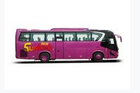 China Rose 24-52 Seater Coach Tour Bus with 10995mm Length and 100km/h Speed - Rear Drive 6x2 Diesel Minibus for sale