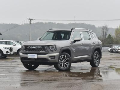 China Great Wall 2WD 4WD Gasoline Off-Road Vehicle with 7-Speed/9-Speed Automatic Transmission, 135kW Engine and 200mm Ground Clearance for sale