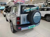 China Great Wall Haval Raptor Plug-In Hybrid SUV - 4800mm Length, 145km Electric Range, 4WD Off-Road Vehicle for sale