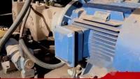 China WS-315 Model Gantry Shear with 3150kn Max Cutting Force and 800mm Blade Length for Scrap Metal Processing for sale
