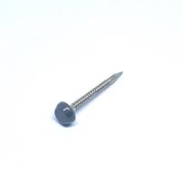 China 25mm A4 Stainless Steel Plastic Head Nails For Construction And Cladding for sale