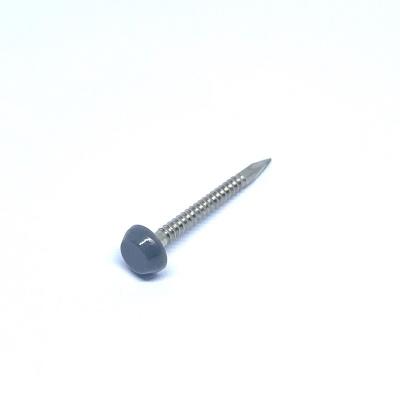 China 25mm A4 Stainless Steel Plastic Head Nails For Construction And Cladding for sale