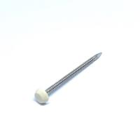 China A2 Stainless Steel Shatterproof Plastic Head Nails For Fascia And Soffit for sale