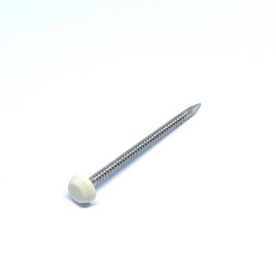 China A2 Stainless Steel Shatterproof Plastic Head Nails For Fascia And Soffit for sale