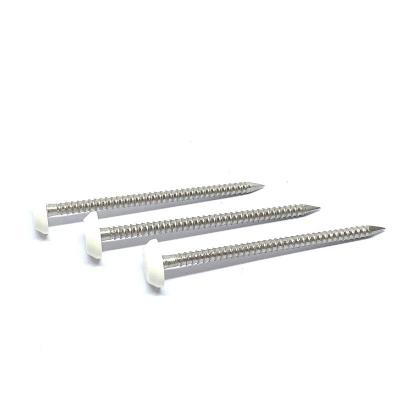 China Annular Ring Shank Roofing Plastic Caps Stainless Steel For Outside Construction for sale