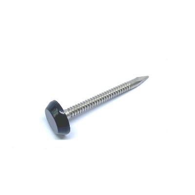 China RAL7016 Anthracite Grey Nylon PA6 Plastic Head Nails For Soffit Fixing for sale