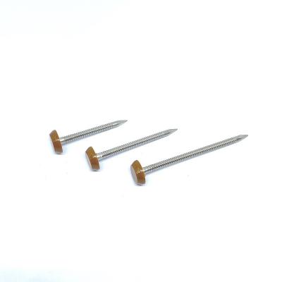 China A4 Stainless Steel Plastic Head Nails , RAL8003 Brown Annular Ring Shank for sale