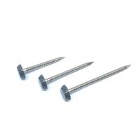 China Corrosion Resistant Stainless Steel Plastic Top Nails With 12mm Head For UPVC Plates for sale