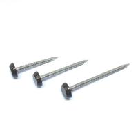 China RAL9005 Black 50mm Plastic Head Nails A4 Stainless Steel Ring Shank Nail for sale