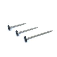 China UV Stable Impact Resistant Polymer Plastic Headed Nails Made From A4 Stainless Steel for sale