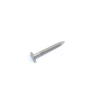 China Flat Head Type Stainless Steel Ring Shank Roofing Nails For Wooden Project for sale
