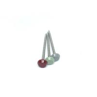 China 2.0MM Wire Diameter Plastic Head 316 Stainless Steel Nails for sale