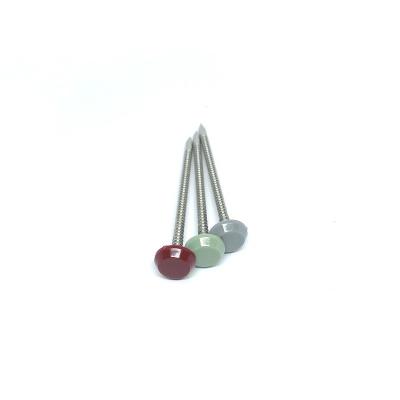 China 2.0MM Wire Diameter Plastic Head 316 Stainless Steel Nails for sale