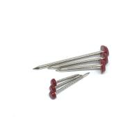 China Outside Construction Diamond Point Plastic Head Nails for sale