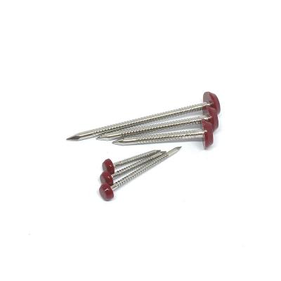 China Outside Construction Diamond Point Plastic Head Nails for sale