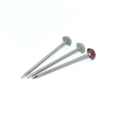 China Rustproof Stainless Steel A4 Plastic Head Nails for sale