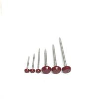 China Corrosion Resistant SS304L Plastic Cap Roofing Nails for sale