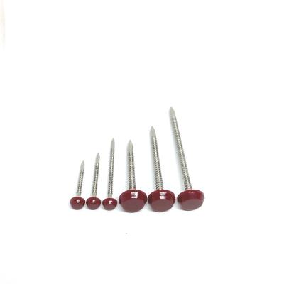 China Corrosion Resistant SS304L Plastic Cap Roofing Nails for sale