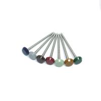 China Polished 316 Stainless Steel Ring Shank Plastic Head Nails for sale