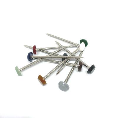 China Anti UV Nylon PA6 Head A4 Stainless Steel Pins for sale