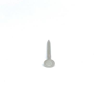 China 2.8X30MM Flat Head A2 Stainless Steel Nails With Smooth Shank for sale