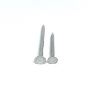 China 2.8X30MM 2.8X40MM Clout Head Four Hollow Shank SS Nails For Fixing for sale