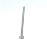 China 3.75X100MM Hollow Shank Stainless Steel Checkered Flat Head Nails for sale