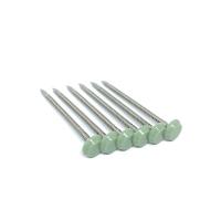 China 65mm Length Polished Plastic Headed Nails With Shark Point for sale