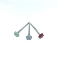 China Anti UV SUS316 Stainless Steel Cladding Nails Corrosion Resistant for sale