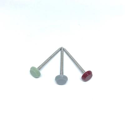 China Anti UV SUS316 Stainless Steel Cladding Nails Corrosion Resistant for sale