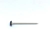 China Stainless Steel Ringed Plastic Head Nails For Outside Construction for sale