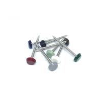 China Nylon PA6 Stainless Steel 304L Plastic Head Pins Polished for sale