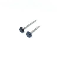 China Grey SUS316 Plastic Head Nails With Annular Ring Shank Shark Point for sale