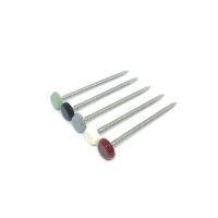 China 65MM Length Nylon Plastic Head Nails With Ringed Shank for sale