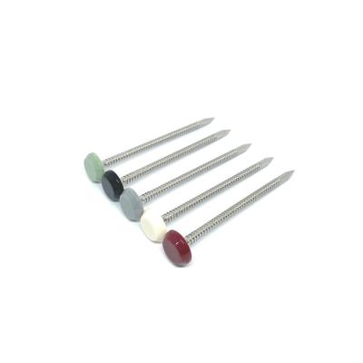 China 65MM Length Nylon Plastic Head Nails With Ringed Shank for sale