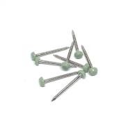 China Stainless Steel A2/A4 Ring Shank Plastic Head Nails 2.0X30mm for sale
