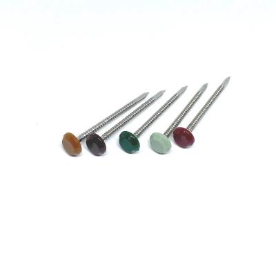 China Annular Groove 316 Stainless Steel Poly Head Nails 50MM Length for sale