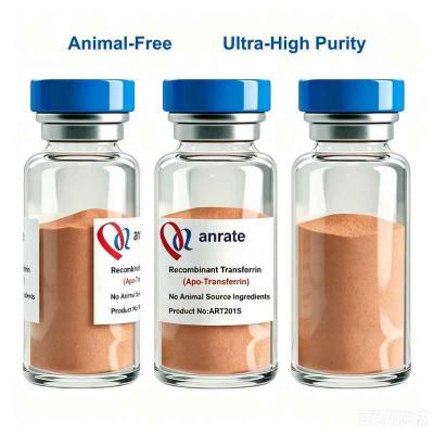 China CGT Recombinant Apo Transferrin Human Animal Free Cell Culture Grade for Bioproduction for sale