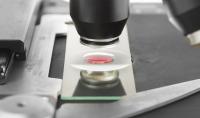 China Chemical Resistant Raw Glass Panel for Histology/Cytology Slides 1300*1100mm Regular Size 4PB 9-12um for sale