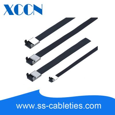 China 316 L Type Stainless Steel Cable Ties Standard Sizes With Metallic Buckle for sale
